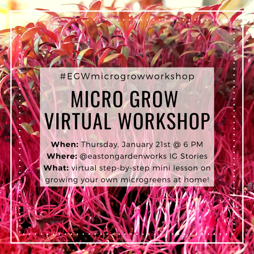 Micro Grow Virtual Workshop - West Ward Community Initiative